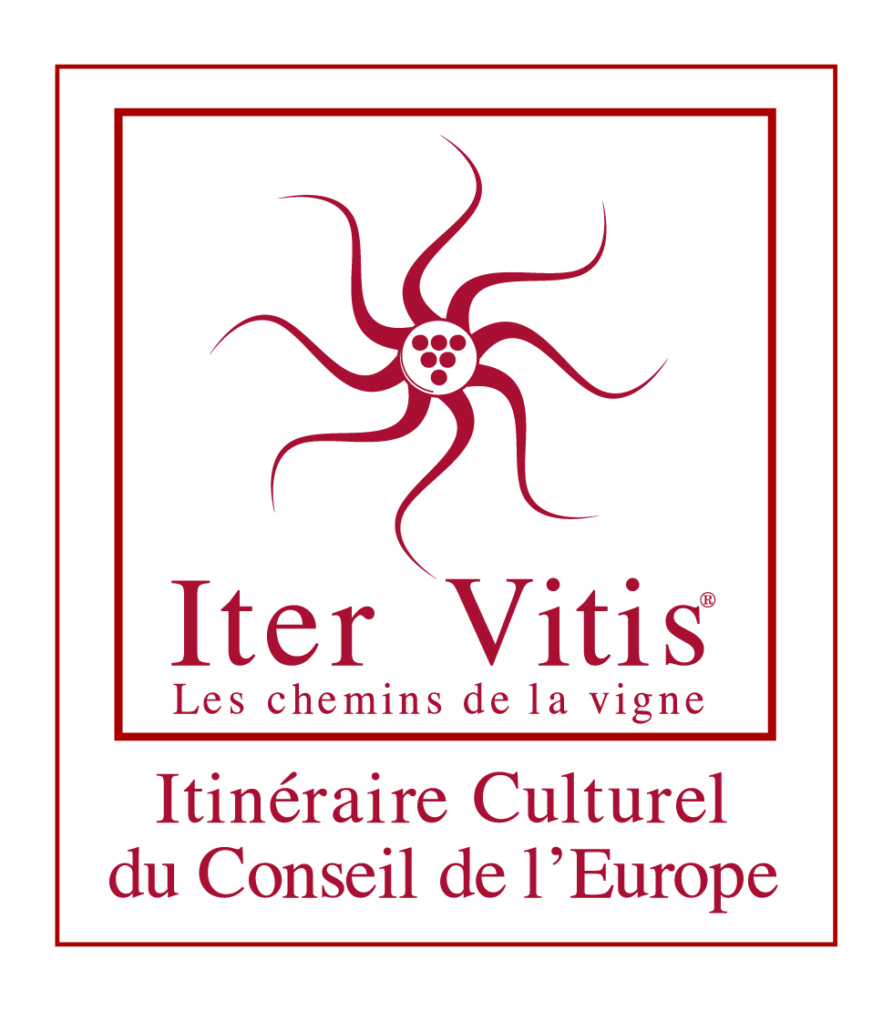 Vitis Logo VITIS Oral Health | Orthodontic Anticaries & Gum Care