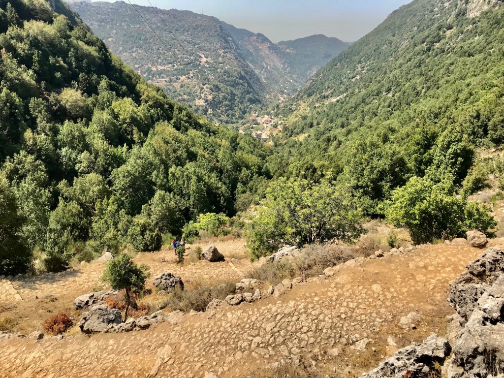 Lebanon joins Iter Vitis - Itervitis